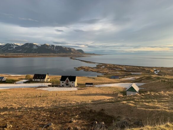 Icelandic Eiderdown is rarer than diamonds, and much more useful